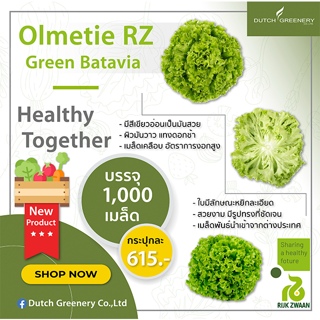 Green Batavia - Olmetie RZ | LINE SHOPPING