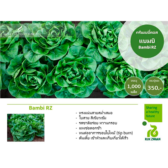 Green Baby Cos - Bambi RZ | LINE SHOPPING