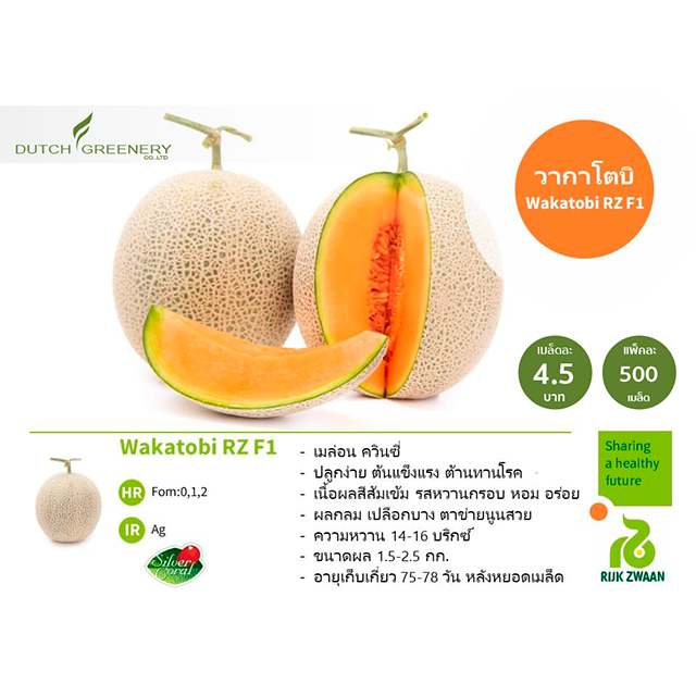 Melon - Wakatobi RZ F1 | LINE SHOPPING