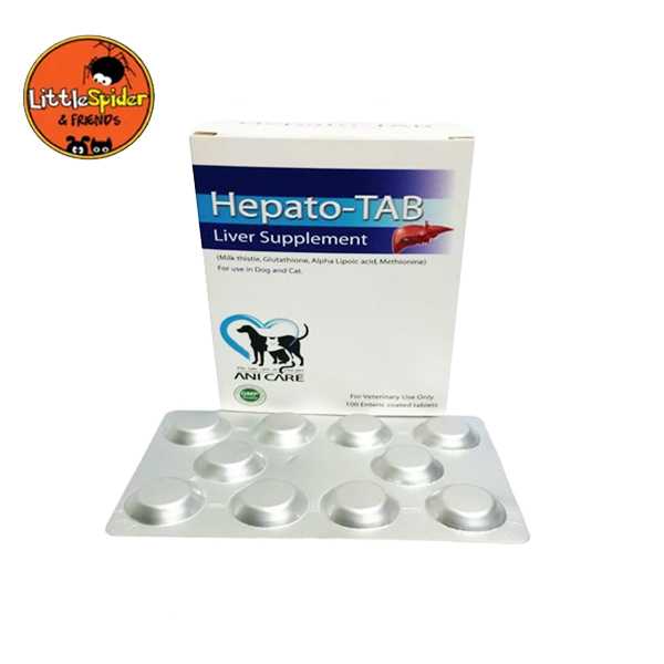 Hepato tab 100 เม็ด วิตามินบำรุงตับสำหรับสัตว์เลี้ยง | LINE SHOPPING