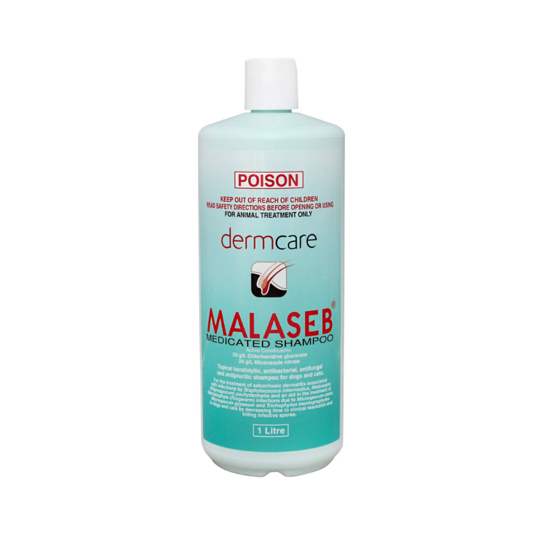 Dermcare Malaseb Medicated Shampoo แชมพูมาลาเซป ต้านแบคทีเรียและเชื้อรา ...