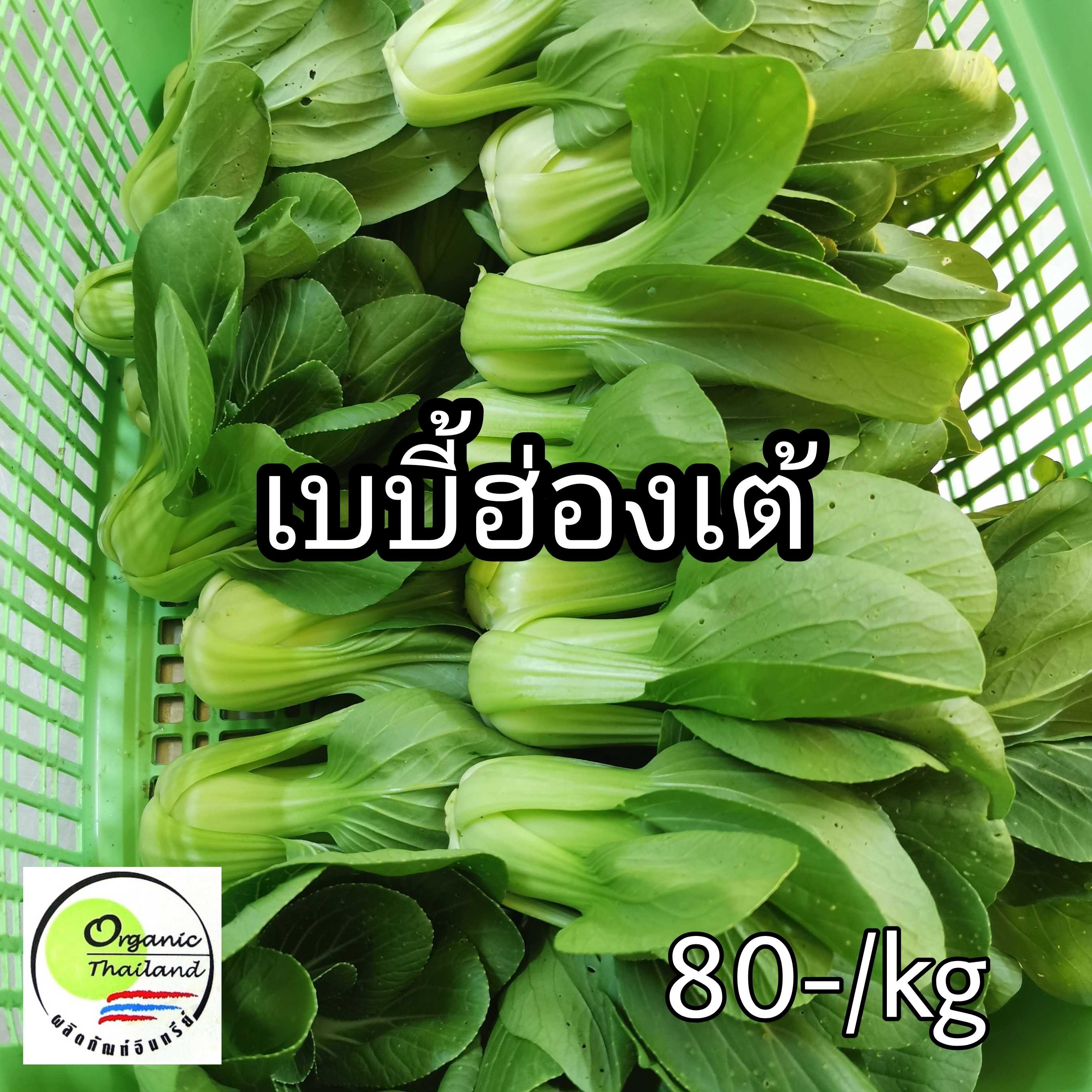 A007 เบบี้ฮ่องเต้ อินทรีย์ (Organic Pak Chai) | LINE SHOPPING