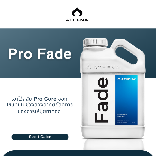 Pro Fade 1 gallon | LINE SHOPPING