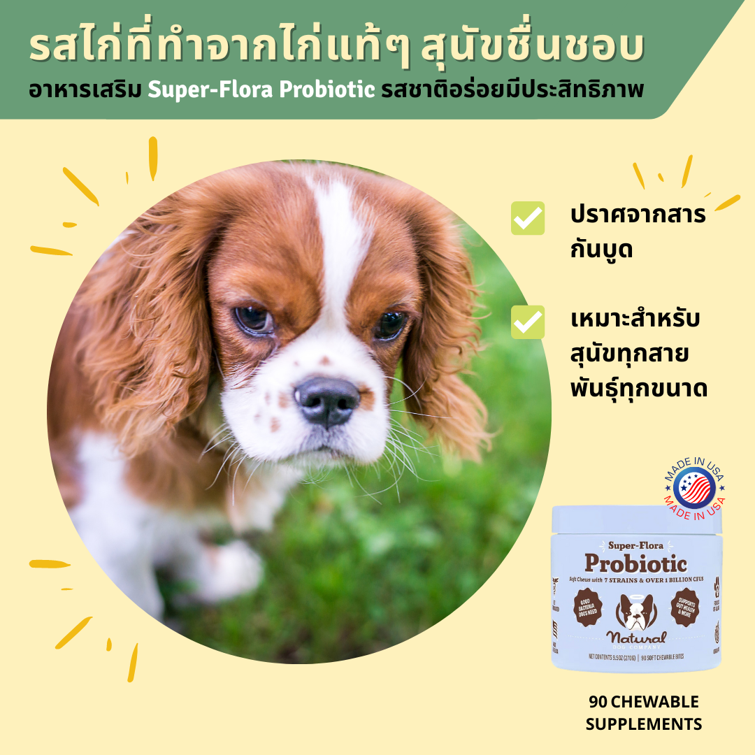 SUPER FLORA PROBIOTIC SUPPLEMENT (โปรไบโอติกสำหรับสุนัขโดยเฉพาะ) 90 ...