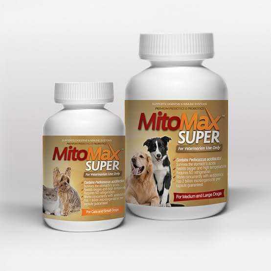 Mitomax Super Premium Probiotic อาหารเสริม สุนัขช่วยในระบบย่อยอาหาร ...