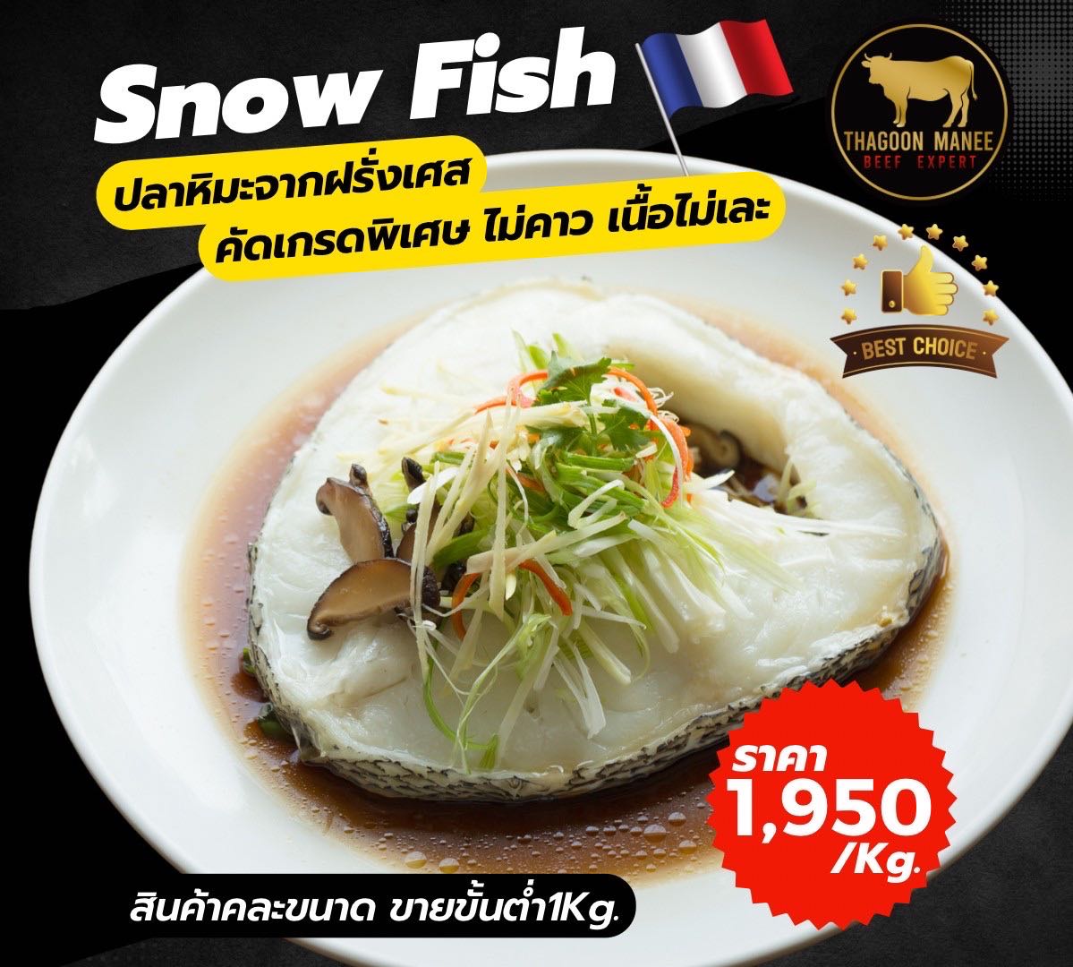Snow Fish ปลาหิมะคัดเกรดพิเศษ สวยทุกชิ้น ไม่คาว เนื้อไม่เละ | LINE SHOPPING