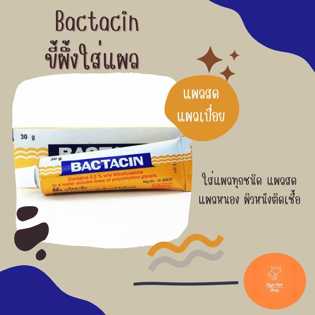 ป้ายแผลสัตว์ 🐶🐈🐷🐮 Bactacin แบคตาซิน ขี้ผึ้งใส่แผล 30 กรัม | LINE SHOPPING