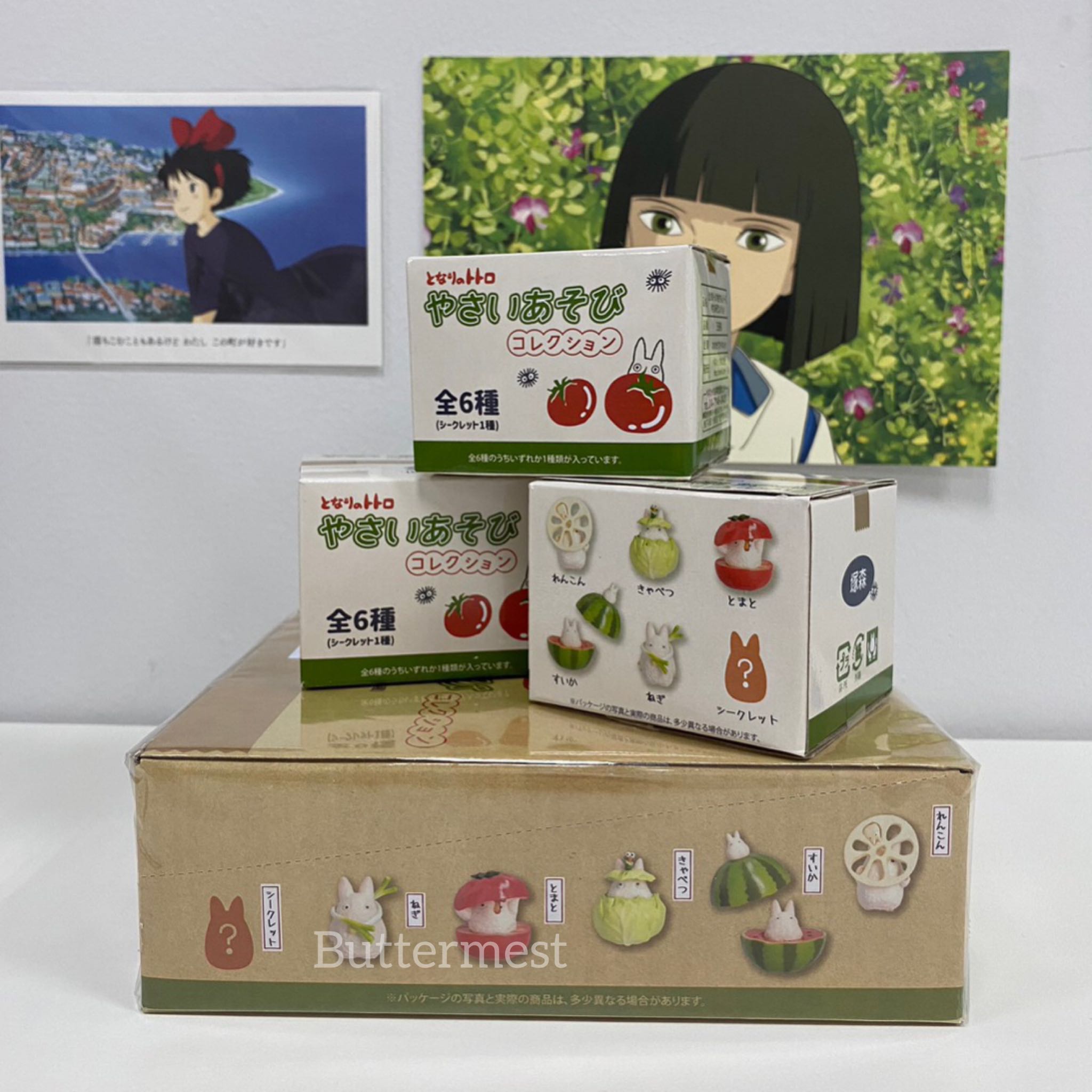 พร้อมส่ง กล่องสุ่มผัก Totoro | LINE SHOPPING