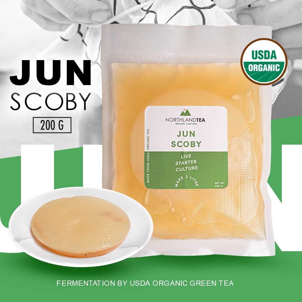 Organic Jun SCOBY & Culture Starter 200 ml | LINE SHOPPING