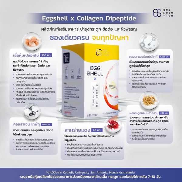Eggshell X Collagen Dipeptide ผลิตภัณฑ์บำรุง กระดูก ข้อต่อ และผิวพรรณ ...