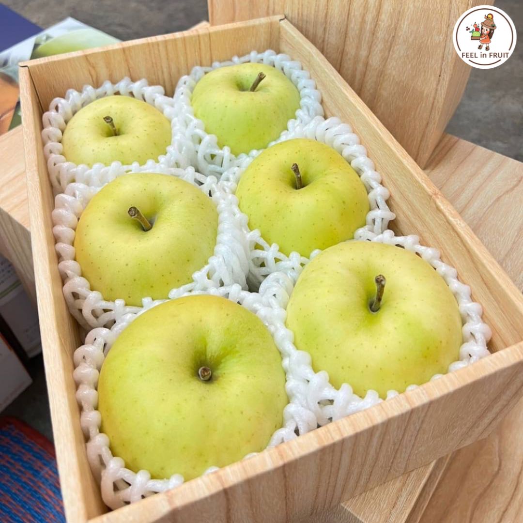 Toki apple แอปเปิัลสีทองญี่ปุ่น | LINE SHOPPING