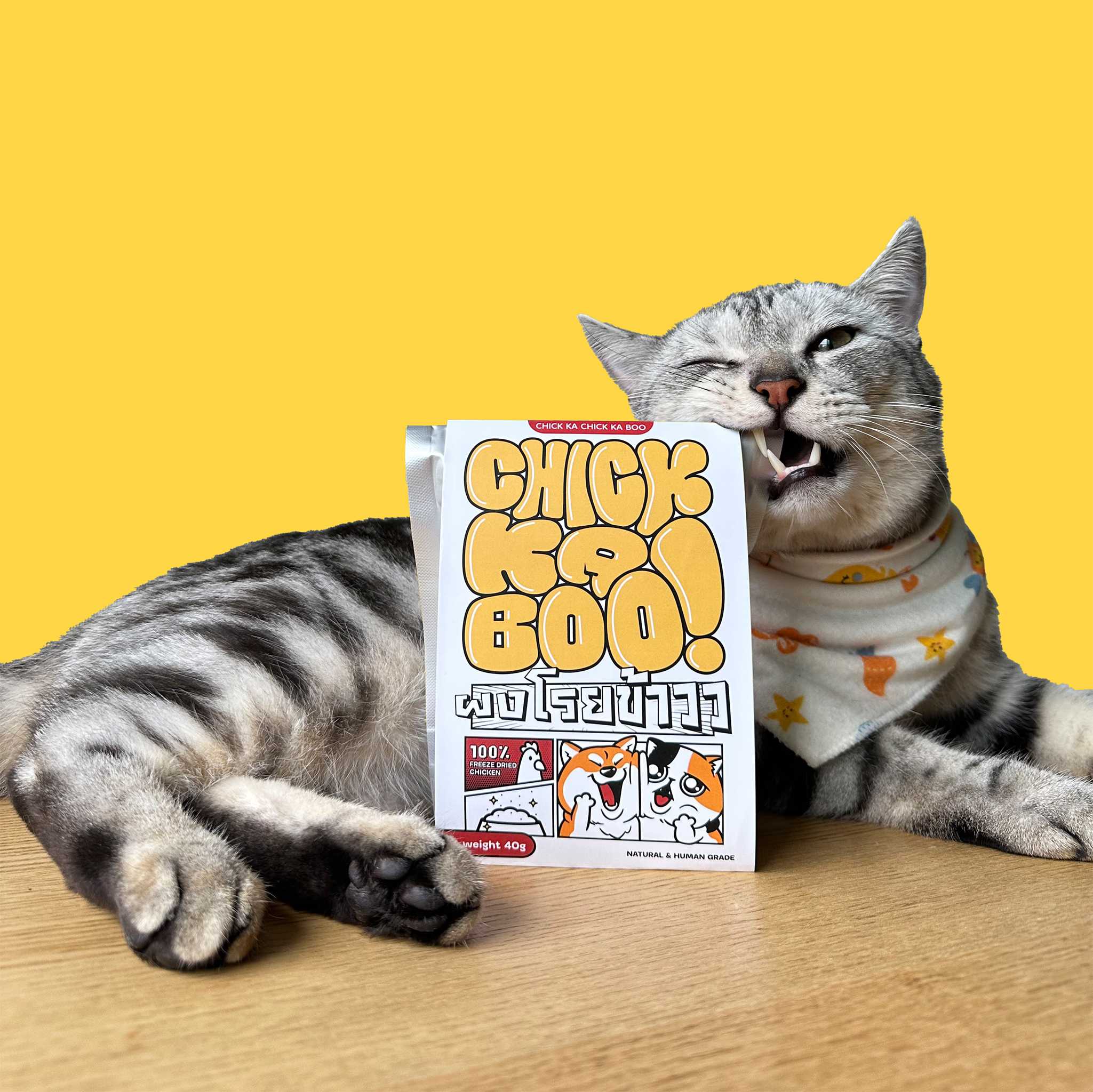 chick ka chick ka boo ผงโรยอาหารสุนัข ผงโรยอาหารแมว Freeze Dried ปริมาณ ...