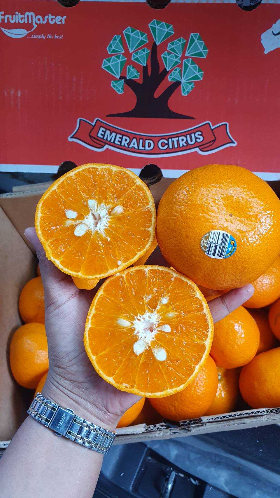 ส้ม Honey Murcott Australia #ตราต้นไม้ แบบ 4kg | LINE SHOPPING