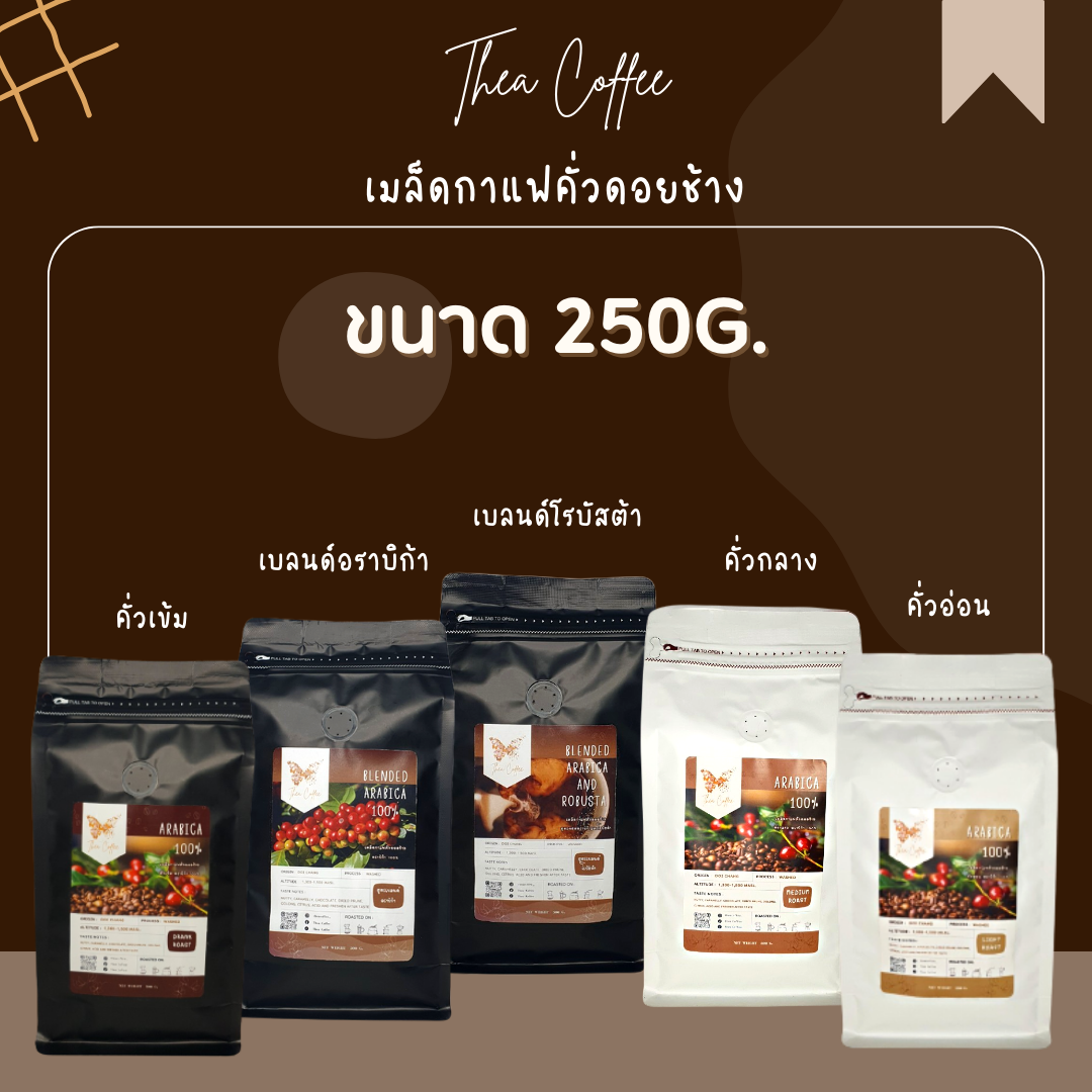 เมล็ดกาแฟคัวดอยช้าง | มีกลิ่นหอมที่เป็นเอกลักษณ์| ขนาดทดลอง 250g. | LINE SHOPPING