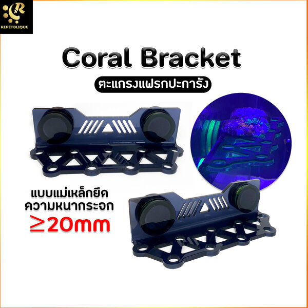 Coral Bracket Rack ตะแกรงแฟรกปะการัง Frag Rack ตะแกรงวางแฟรกปะการัง แฟ ...