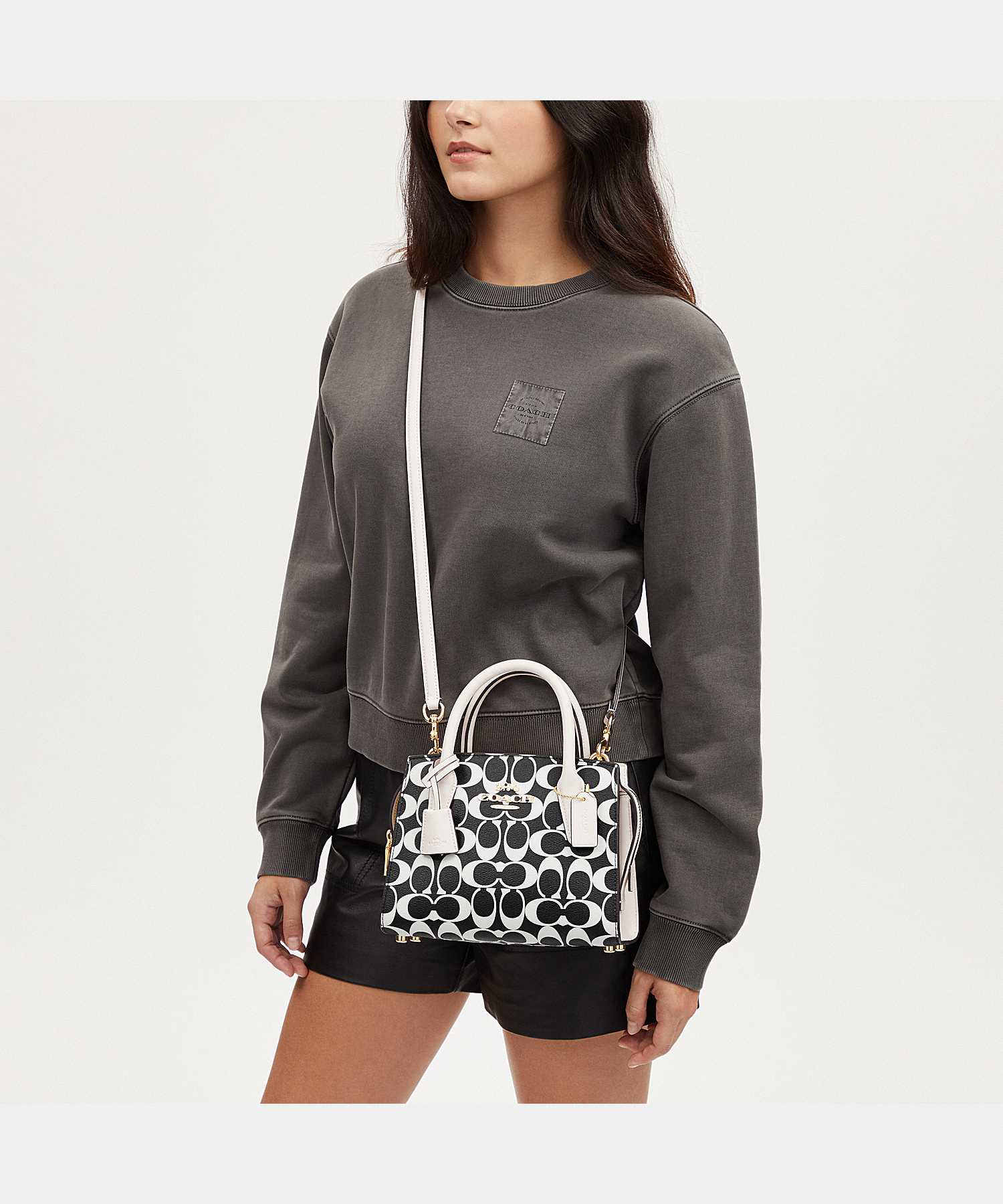 COACH ANDREA CARRYALL IN SIGNATURE CANVAS CP080 IMA47 | LINE SHOPPING