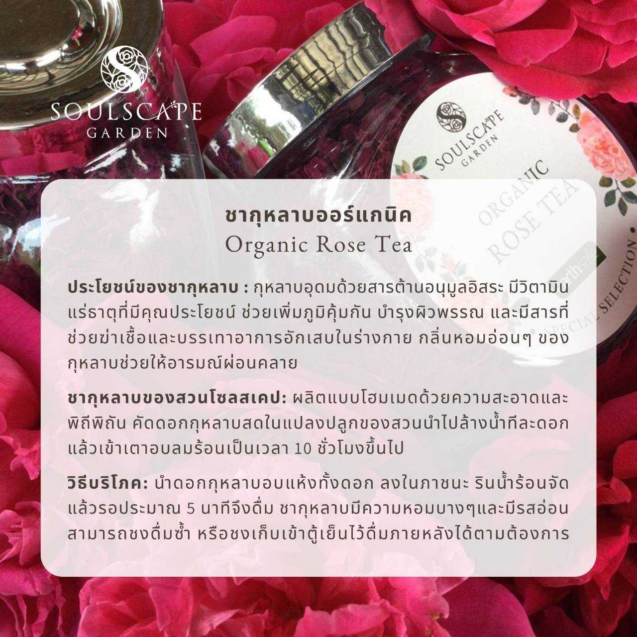 ชากุหลาบมอญออร์แกนิค (Organic Damask Rose Tea) ชาดอกไม้ ชาออร์แกนิค ...