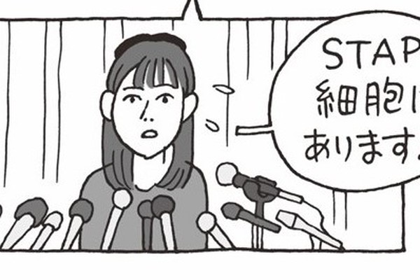「ありまぁす」は嘘か真実か⁉ Stap細胞騒動／2014（平成26）【平成ピックアップ】（毎日が発見） 