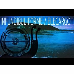 INFUNDIBULIFORME - ELECARGOT