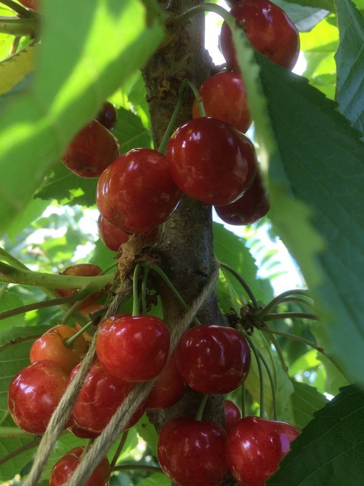 Mixed media feed | リルストーリア | LINE Official Account