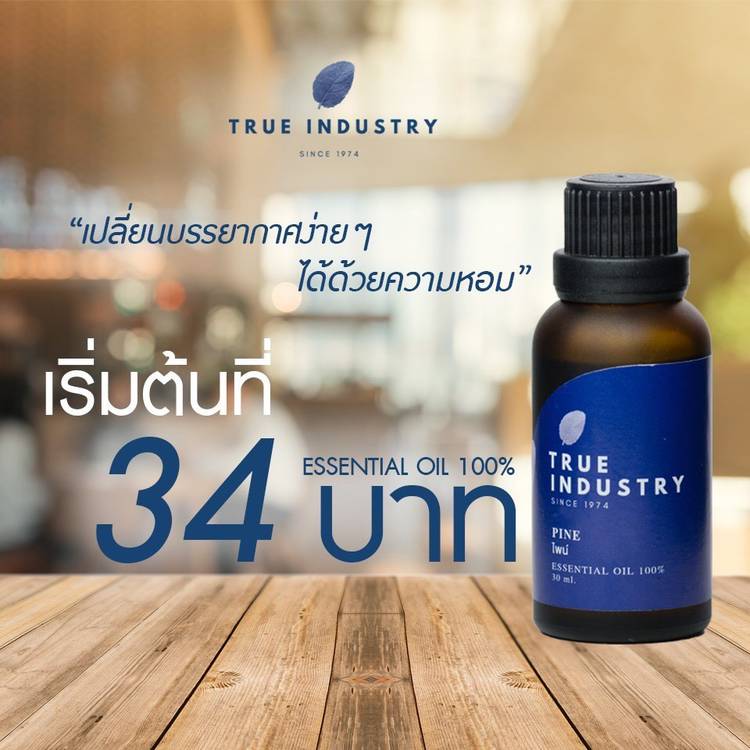 Mixed media feed | True Industry | LINE Official Account