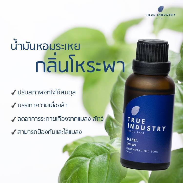 Mixed media feed | True Industry | LINE Official Account