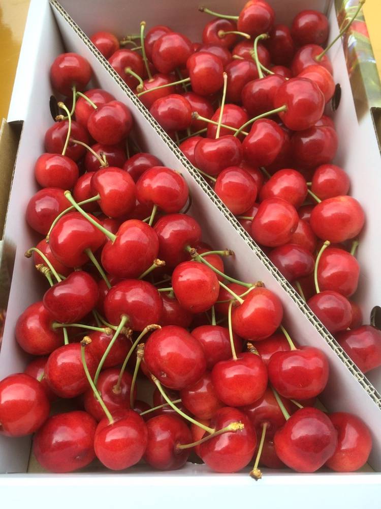 Mixed media feed | リルストーリア | LINE Official Account