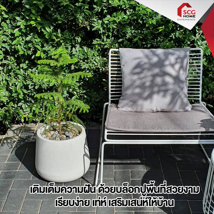 Mixed media feed | SCG Home Experience | LINE Official Account